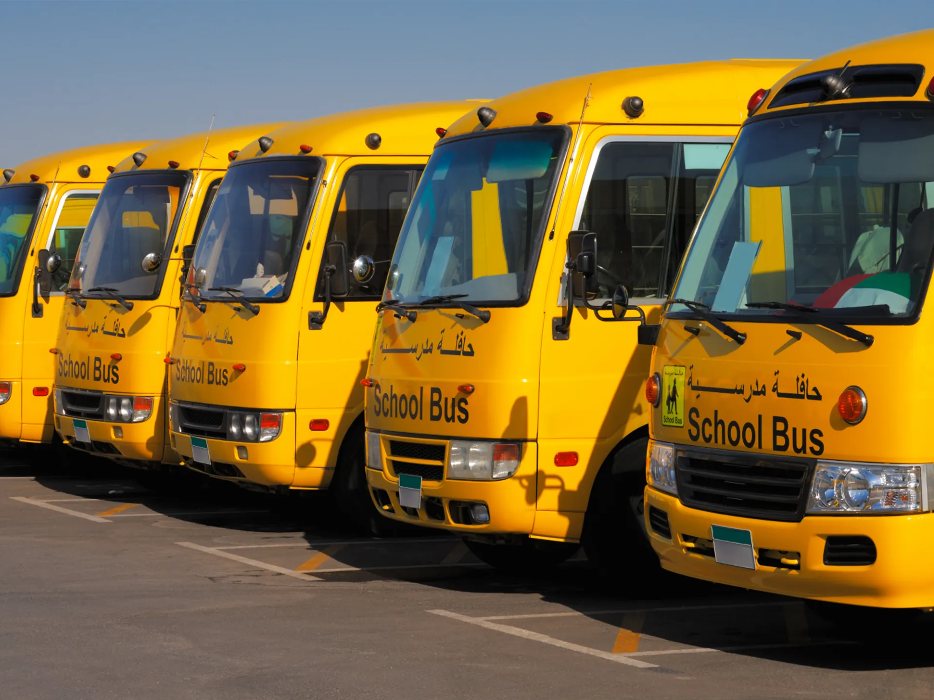 Things to Know About Dubai Education System - Tekce Visa